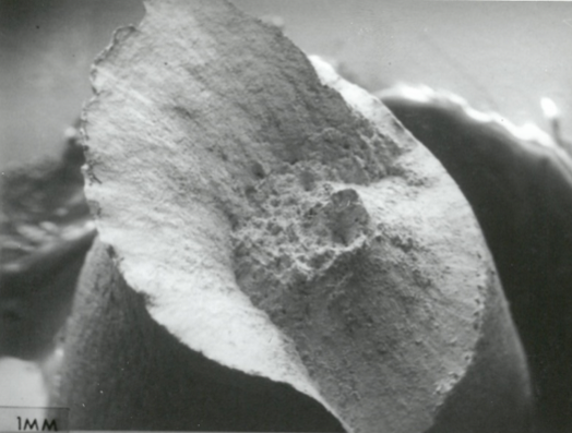 Fracture Analysis – Metallurgy Experts